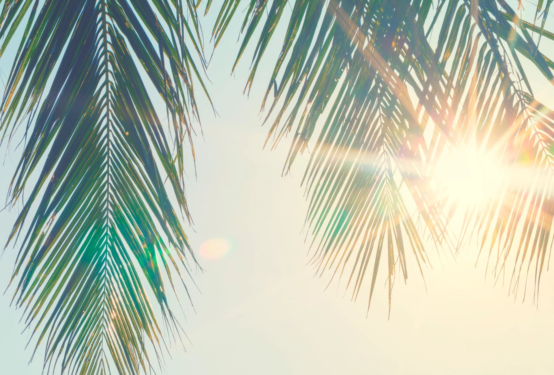 Lentes Transitions EXTRActive | Melhor lente para proteção extra